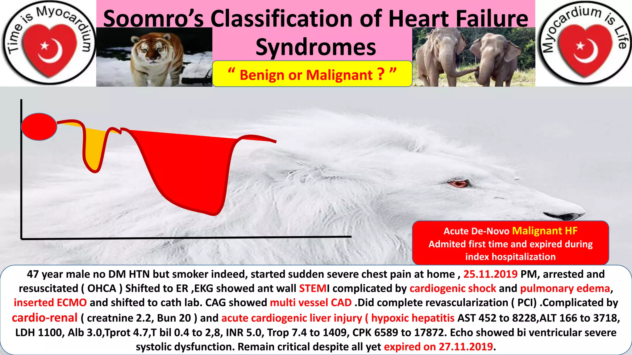 HF classification | PPT