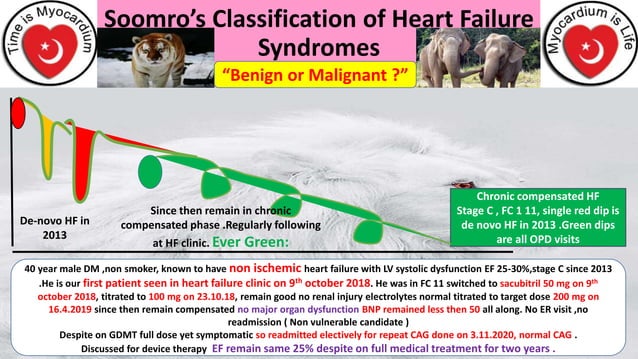 HF classification | PPT