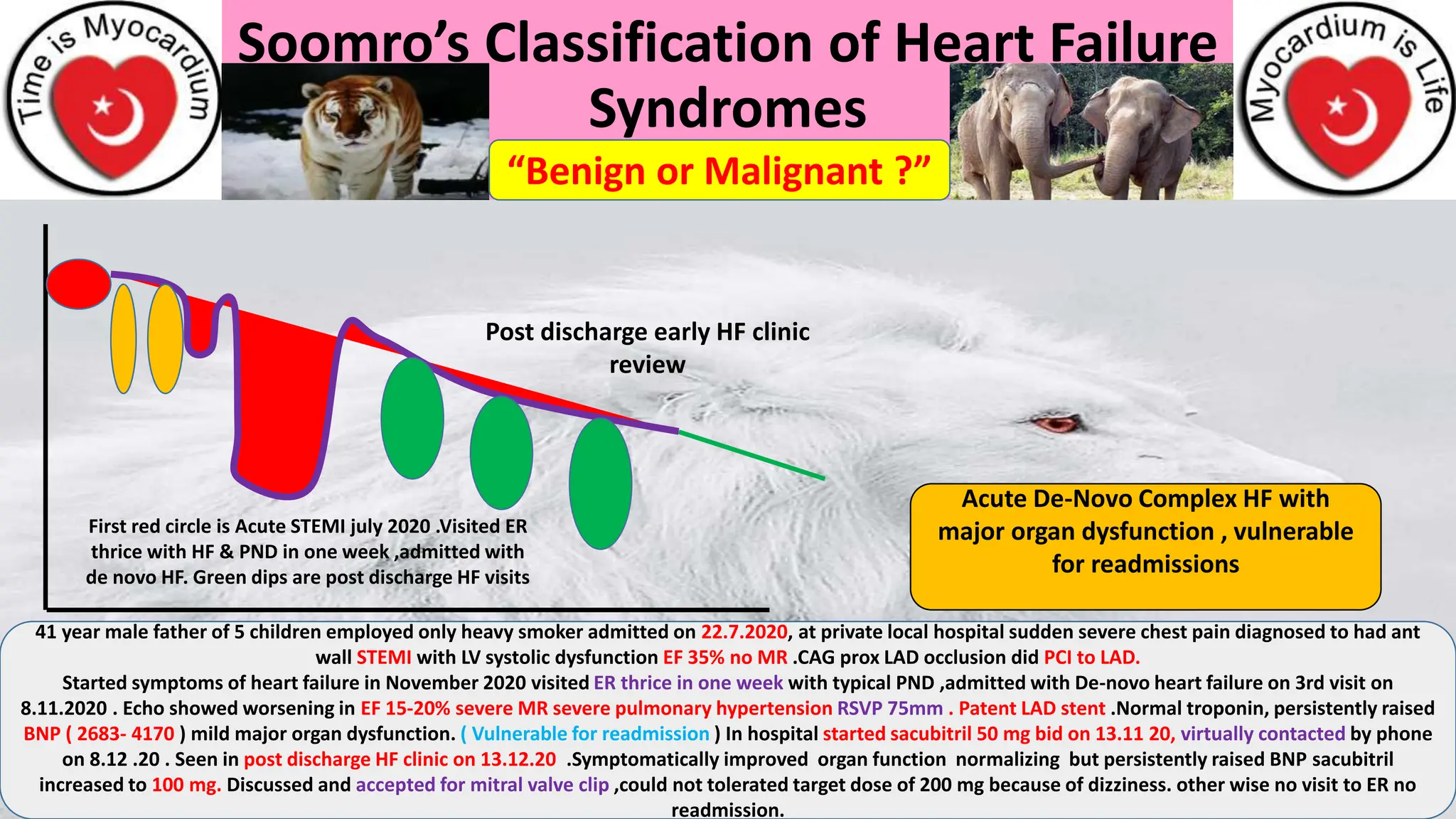 My Graphic Heart Failure classification. | PPT