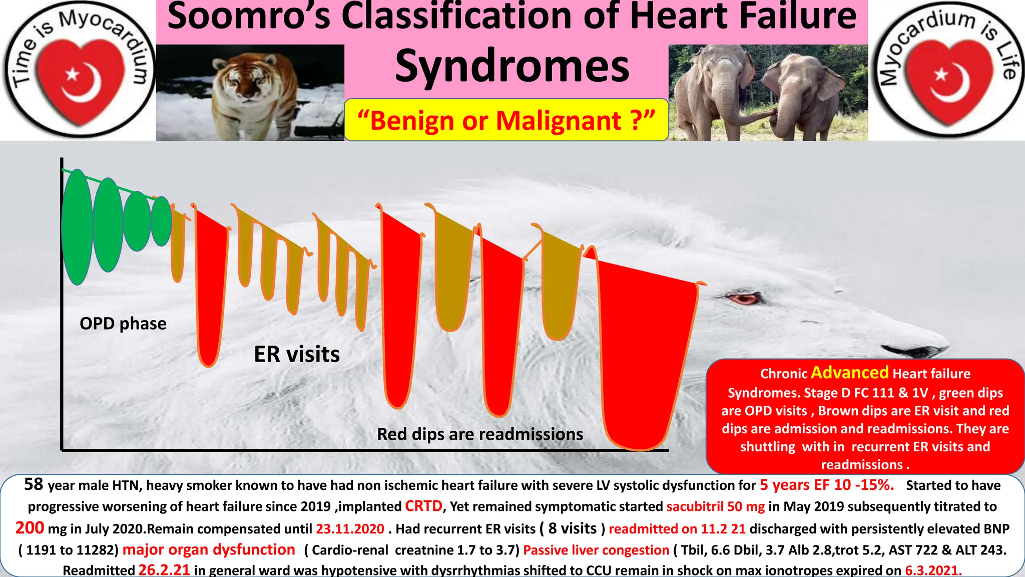 My Graphic Heart Failure classification. | PPT
