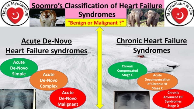 My Graphic Heart Failure classification. | PPT