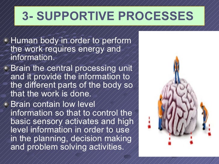 human machine system