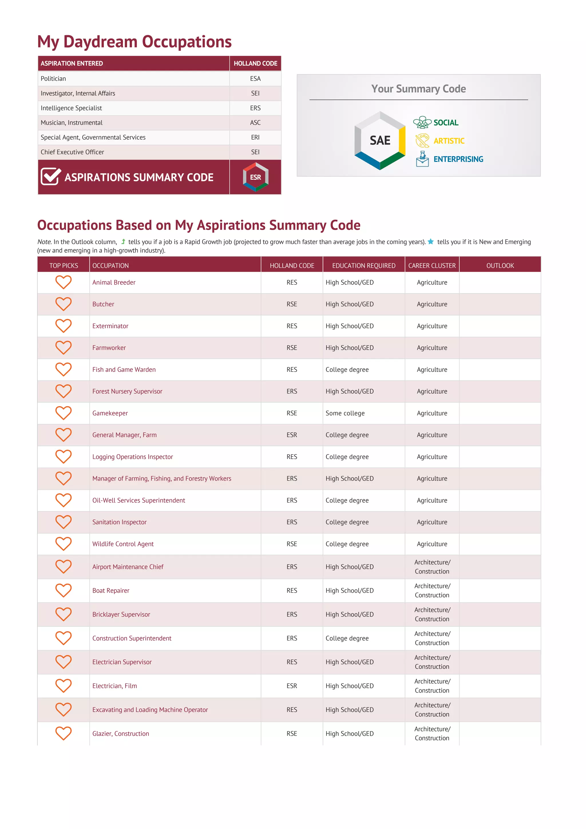 Self directed-search-summary merwin | PDF