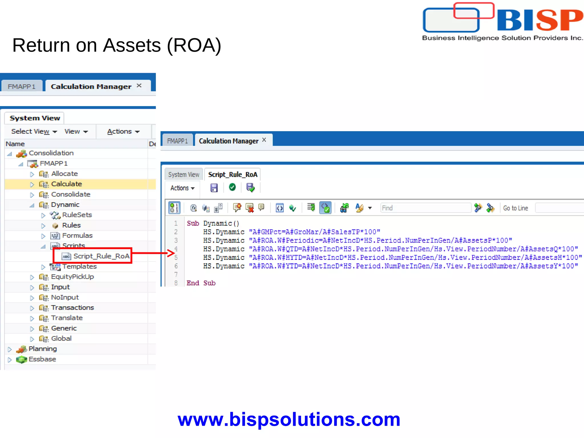 Hfm calculating RoA | PPT