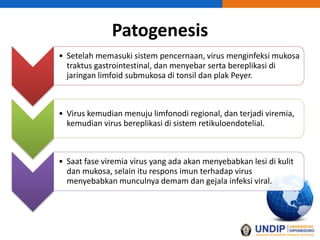 Hand foot mouth disease - flu singapur | PPTX