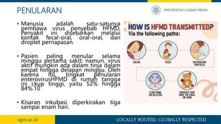 hfmd.pptx