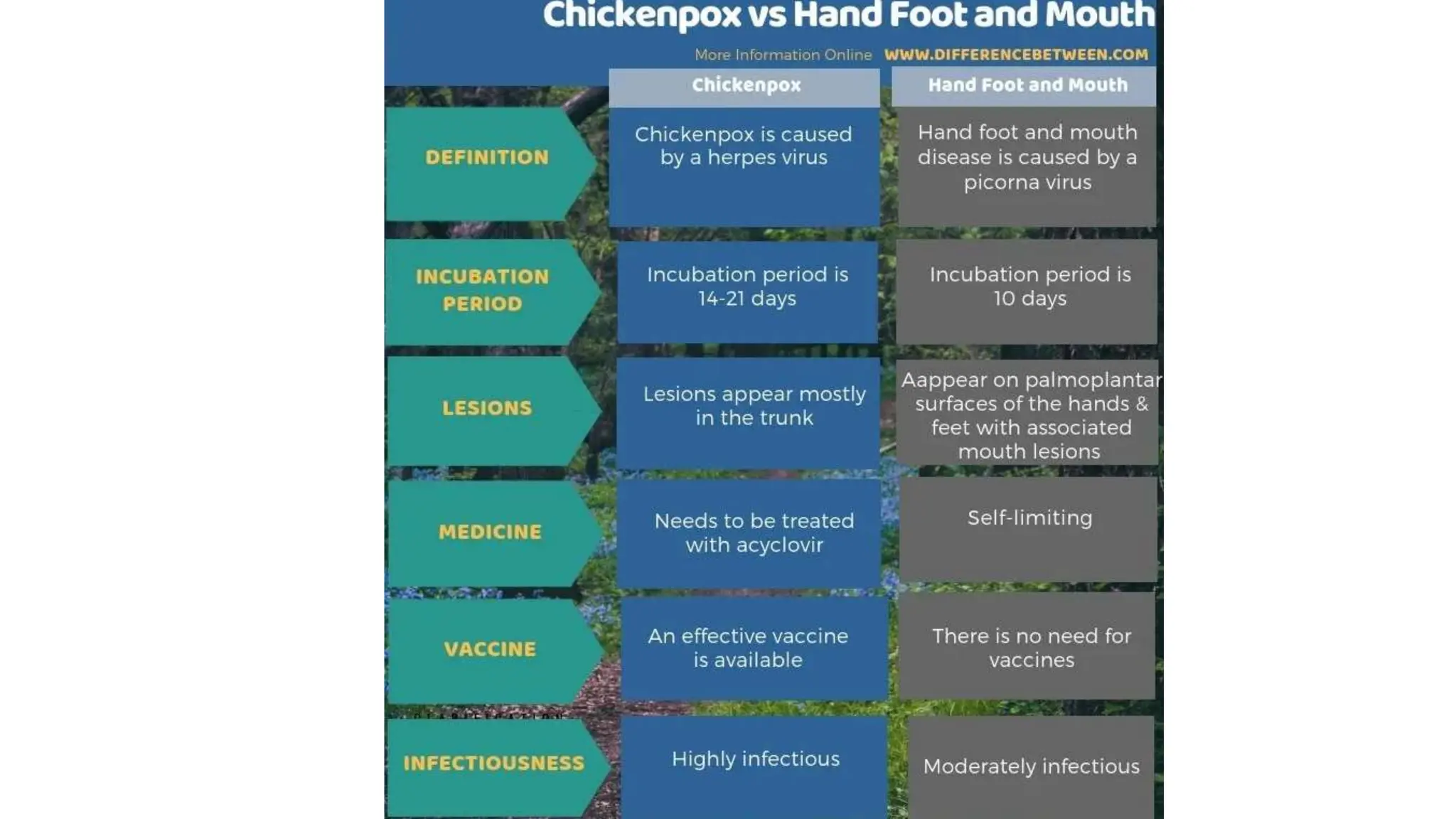 what is HFMD or hand foot mouth disease.pptx