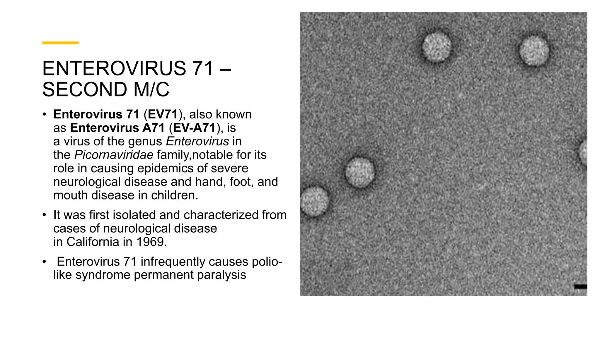 what is HFMD or hand foot mouth disease.pptx