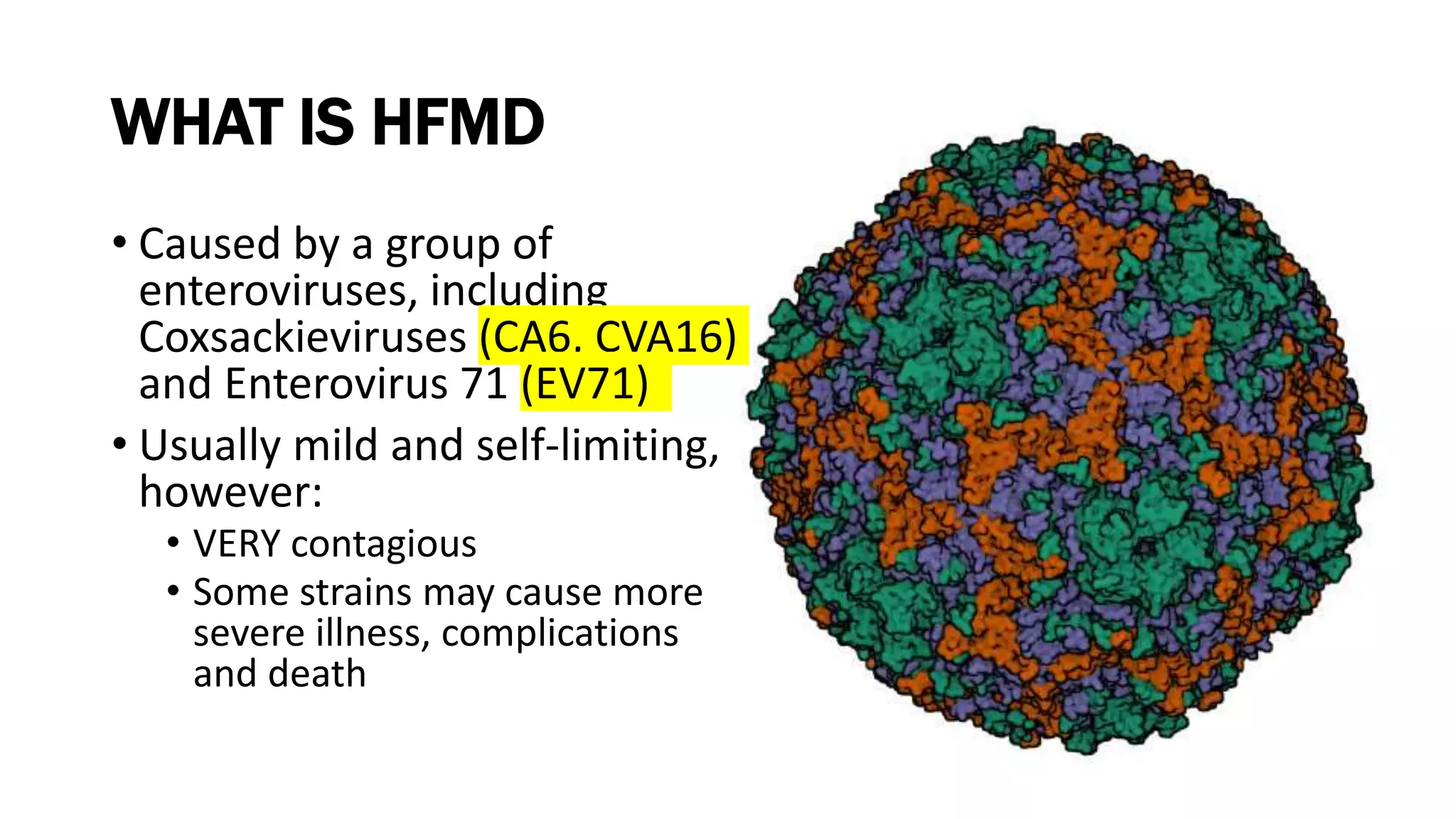 HFMD-Presentation.pptx