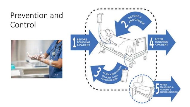 HFMD-Presentation.pptx | Infectious Diseases | Diseases and Conditions