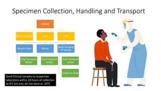 HFMD-Presentation.pptx