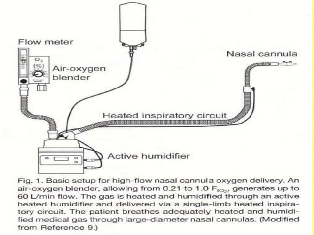 HFNC | PPTX | Lung and Respiratory Health | Diseases and Conditions