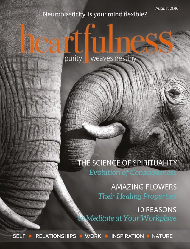 Heartfulness Magazine Issue 10 | PDF
