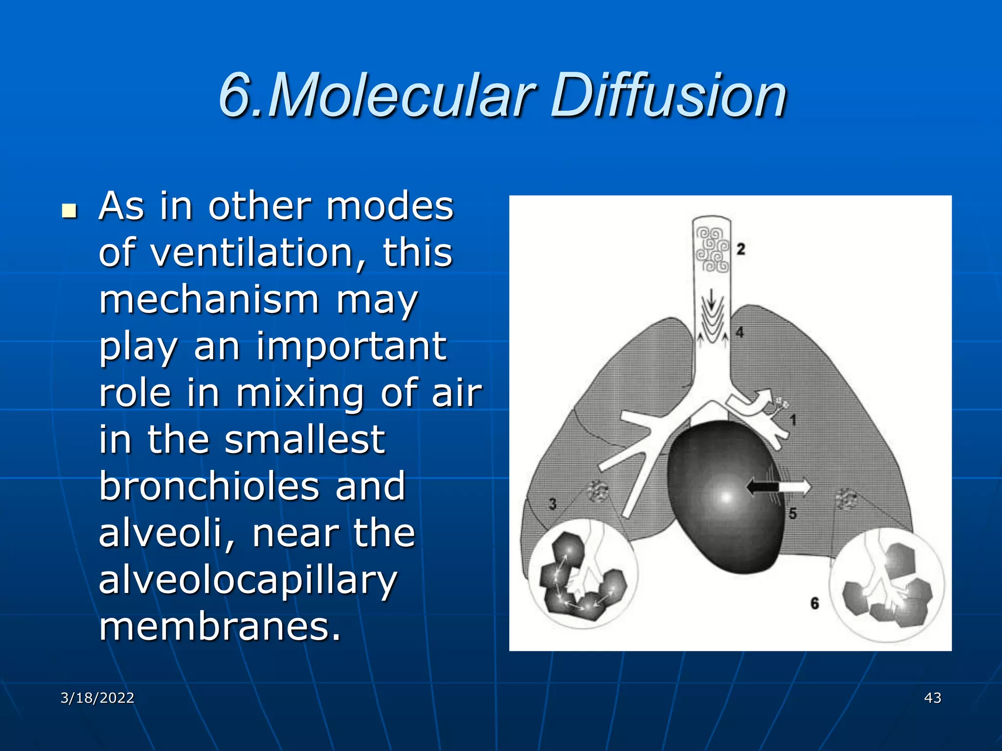 High Frequency Oscillatory Ventilation | PPSX