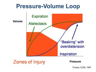 HFOV. High frequency oscillatory ventilation pediatric | PDF