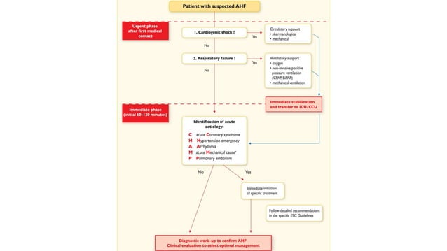 Acute Decompensated Heart failure (ADHF), Heart failure with preserved ...