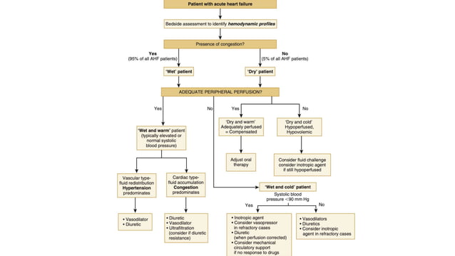 Acute Decompensated Heart failure (ADHF), Heart failure with preserved ...