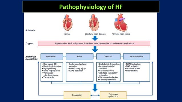 Heart Failure with Preserved Ejection Fraction By DR. Vaibhav Yawalkar ...
