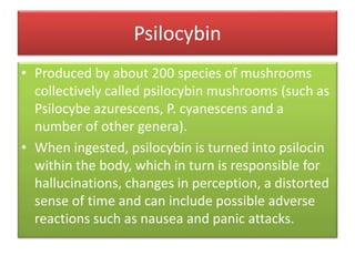 ALLKALOIDS IN FUNGI | PPTX | Chemistry | Science