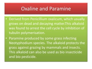 ALLKALOIDS IN FUNGI | PPT