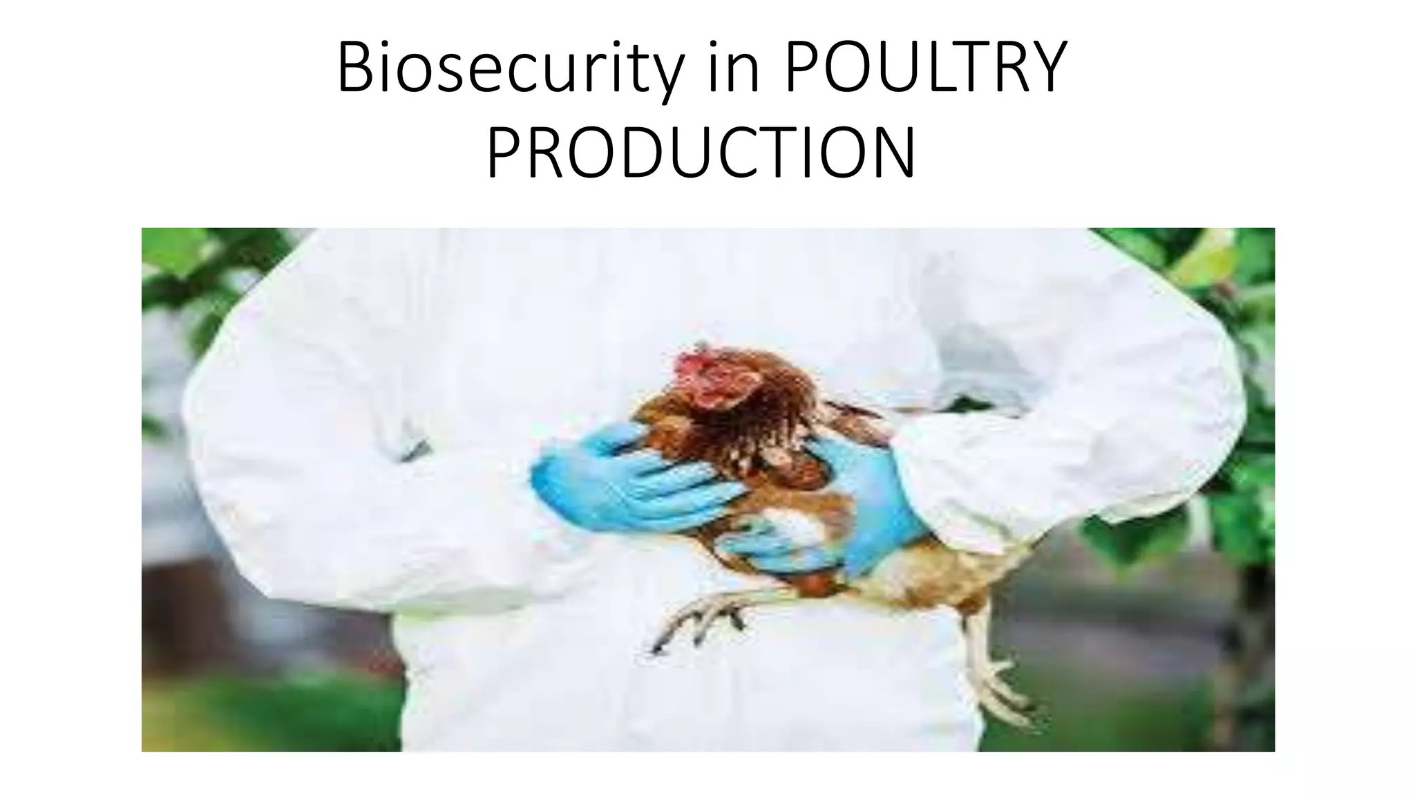 BIOSECURITY_IN_poultry_production.pptx