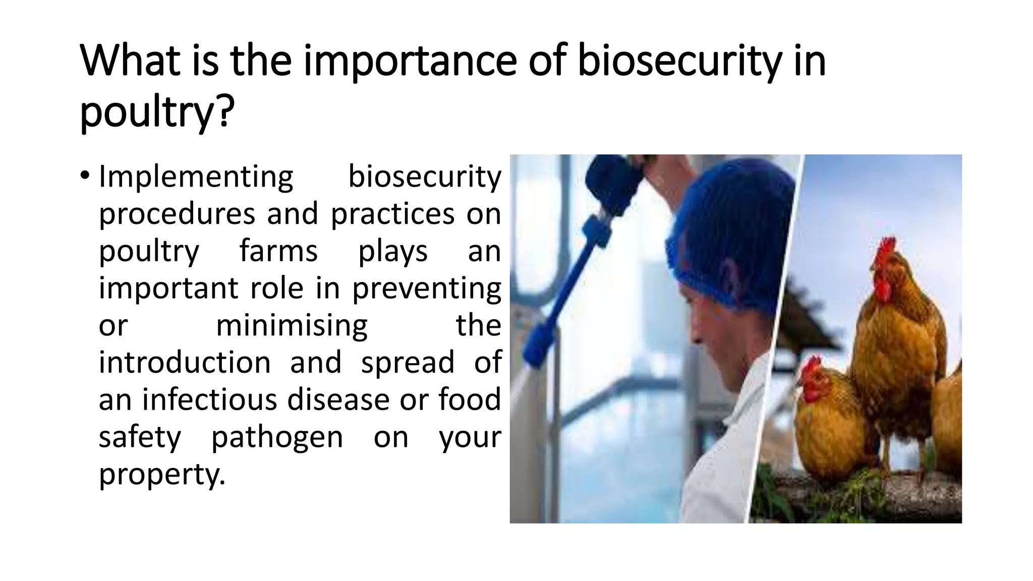 BIOSECURITY_IN_poultry_production.pptx