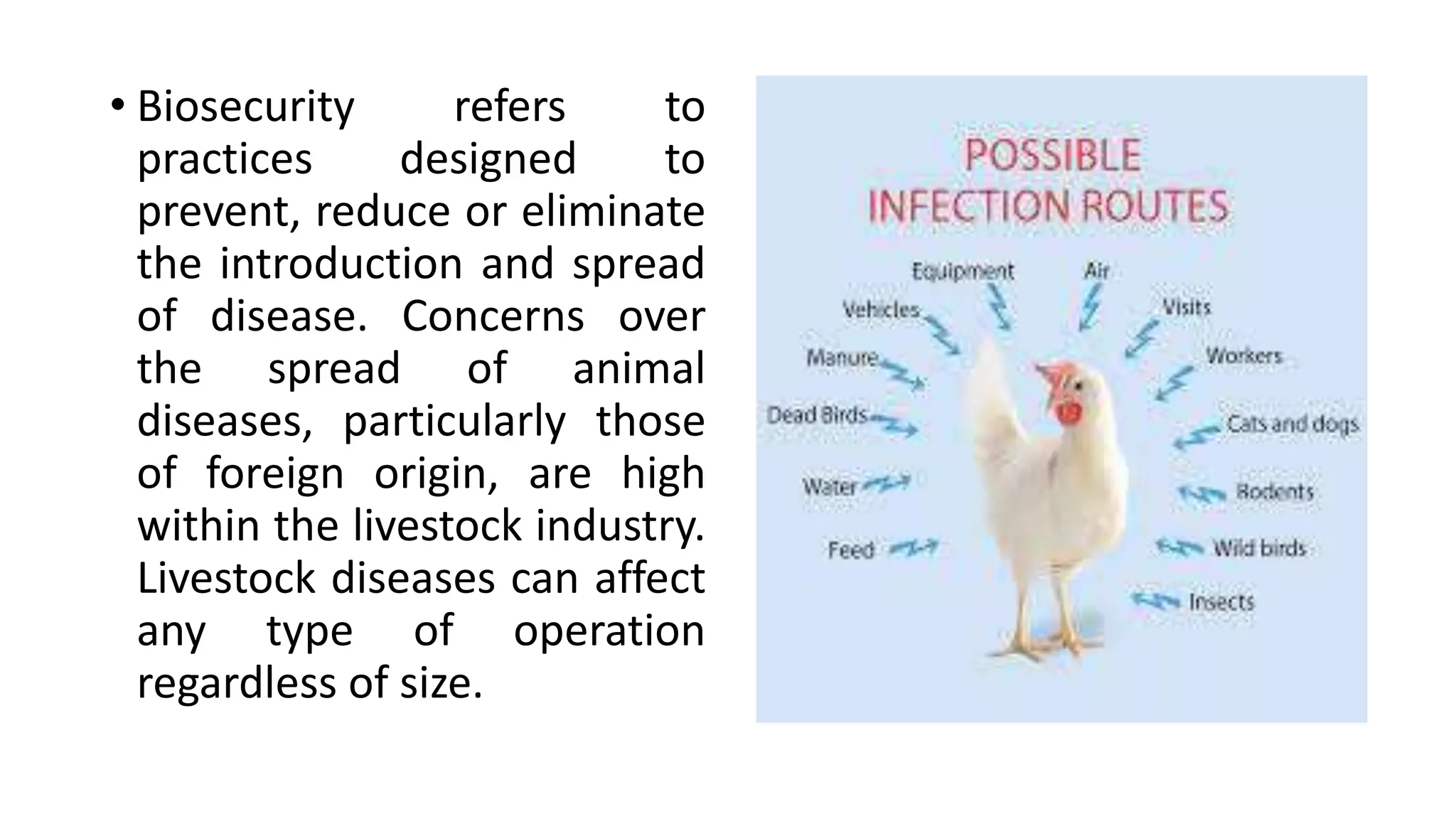 BIOSECURITY_IN_poultry_production.pptx