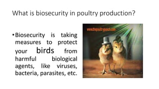 BIOSECURITY_IN_poultry_production.pptx