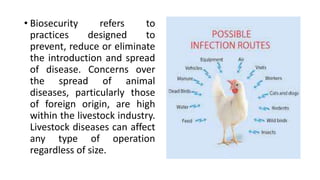 BIOSECURITY_IN_poultry_production.pptx