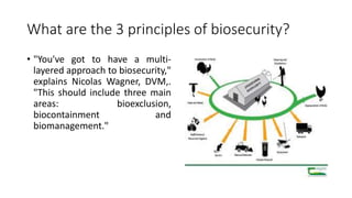 BIOSECURITY_IN_poultry_production.pptx
