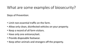 BIOSECURITY_IN_poultry_production.pptx