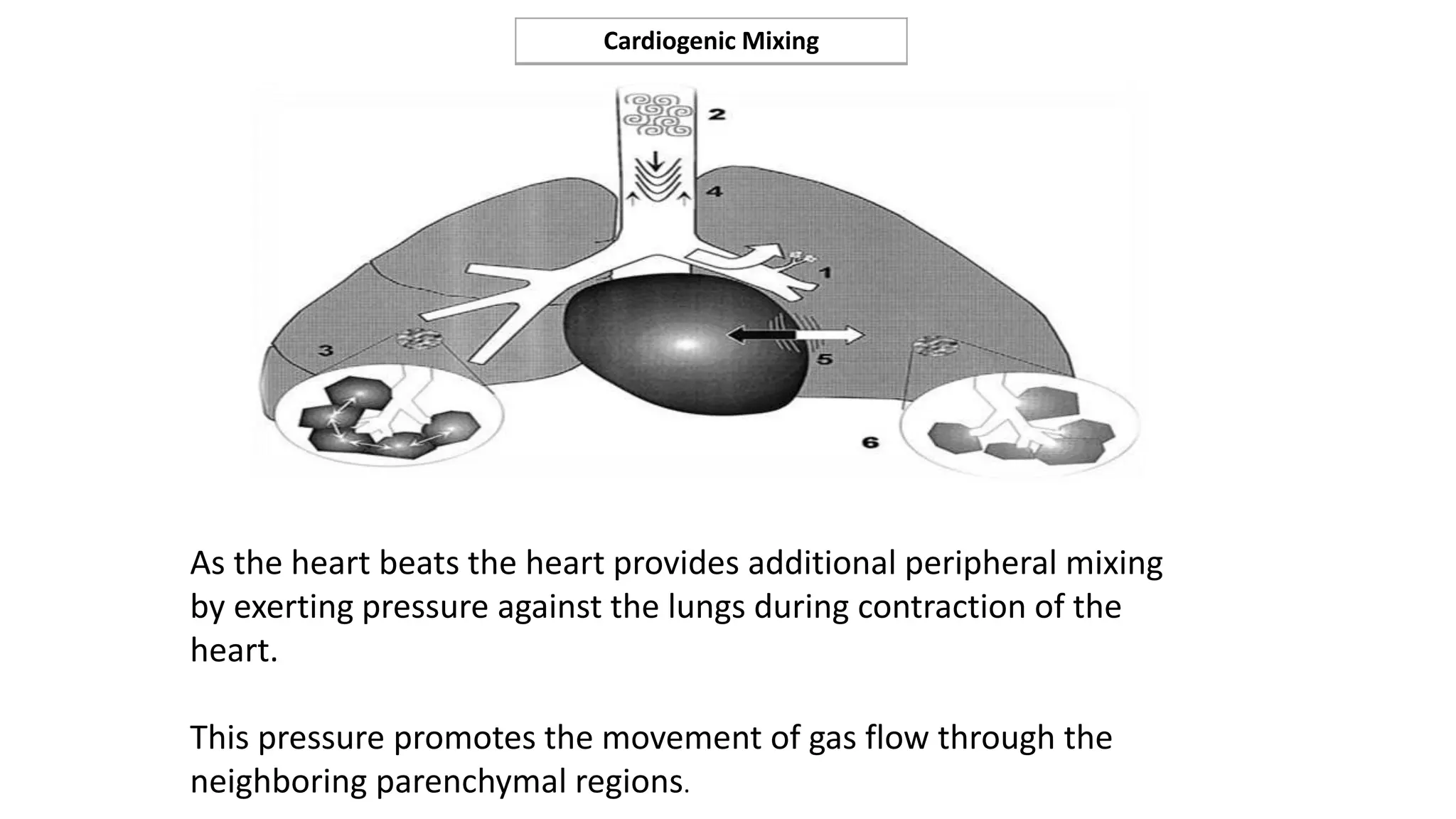 HIGH FREQUENCY VENTILATION - NEONATES | PPTX