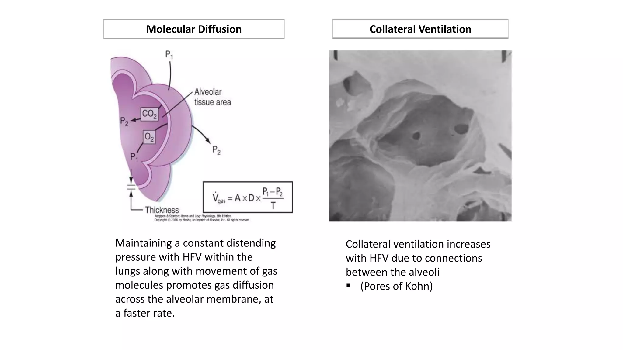 HIGH FREQUENCY VENTILATION - NEONATES | PPTX