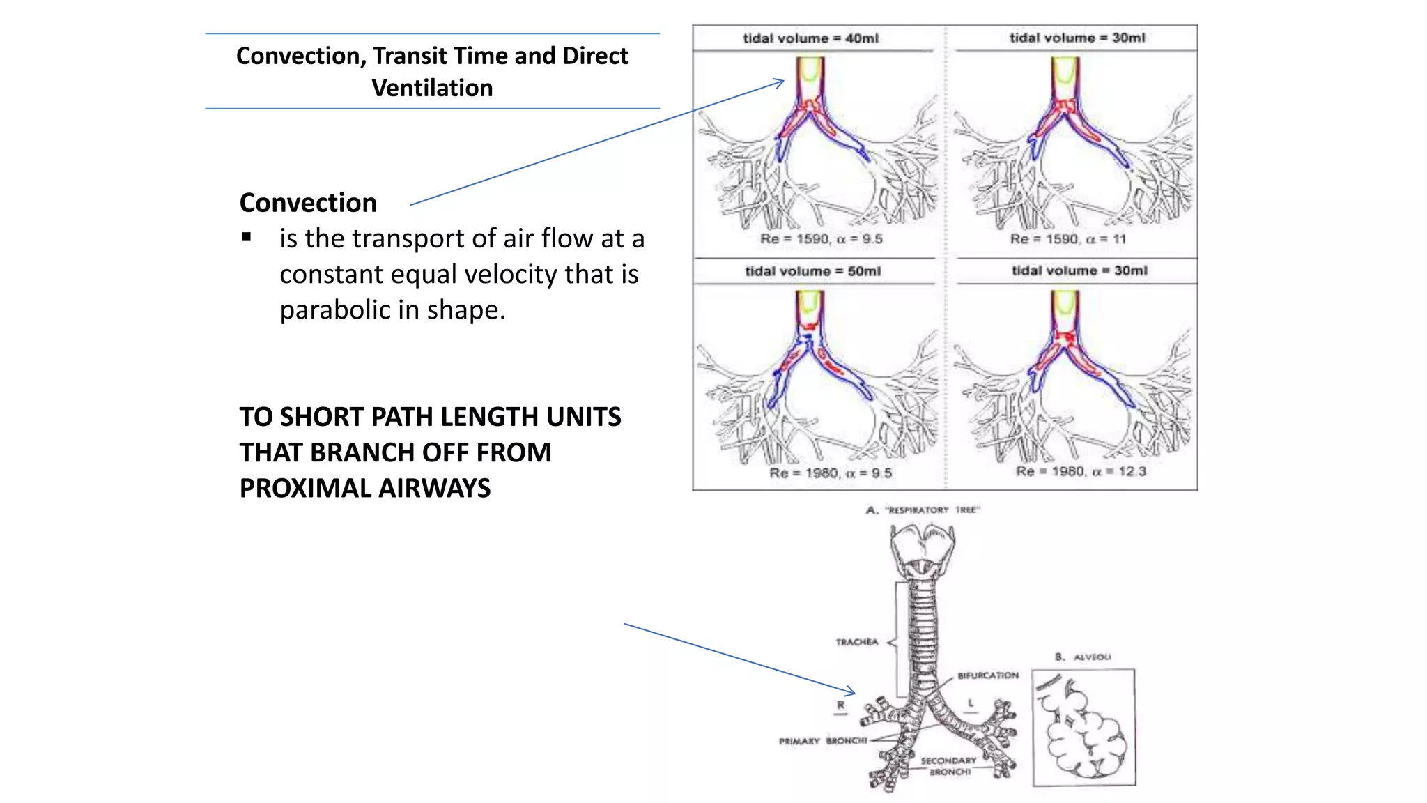 HIGH FREQUENCY VENTILATION - NEONATES | PPTX