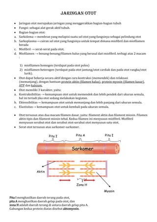 jaringan otot | DOCX