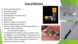 Hg Toxicity | PPTX
