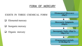 Hg Toxicity | PPTX