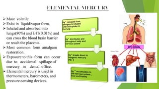 Hg Toxicity | PPTX