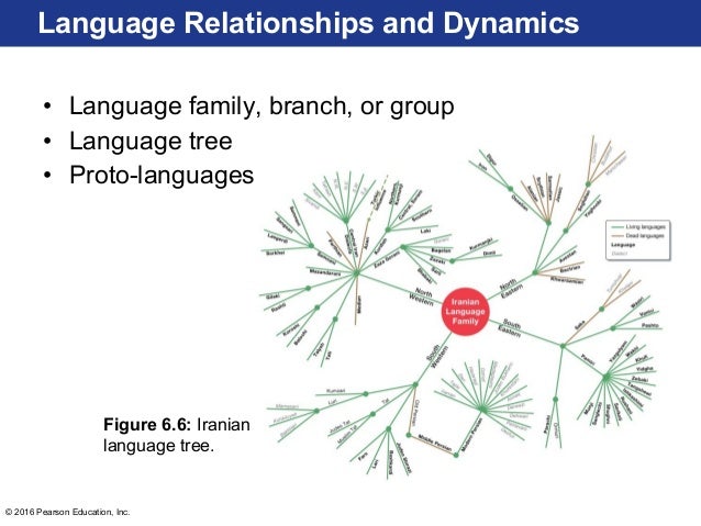 Human Geography Chapter 6