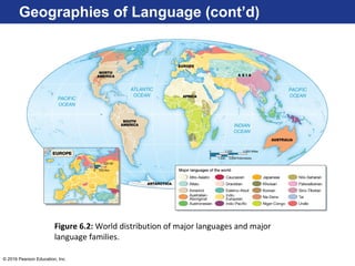 Hg 7e lecture_ch06-237274 | PPT
