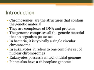 DNA structure and chromosome organization | PPTX