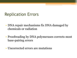 DNA structure and chromosome organization | PPTX