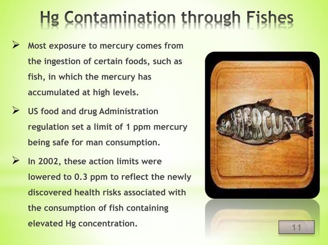 Hg analysis from the fish and their effect on human life by using Cold ...