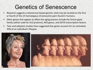Human Longevity by Justin Miller | PPT