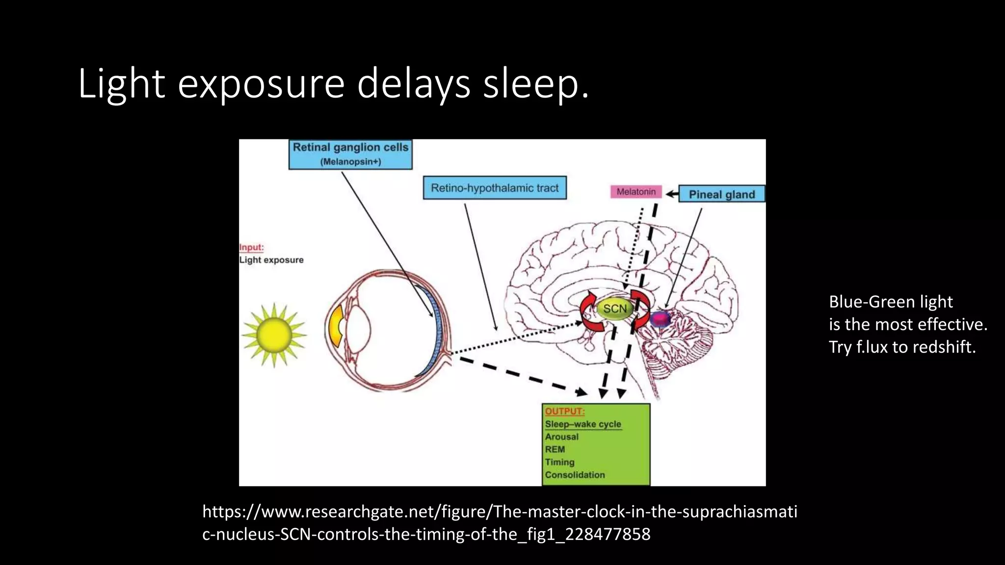 The Science of Sleep | PPTX