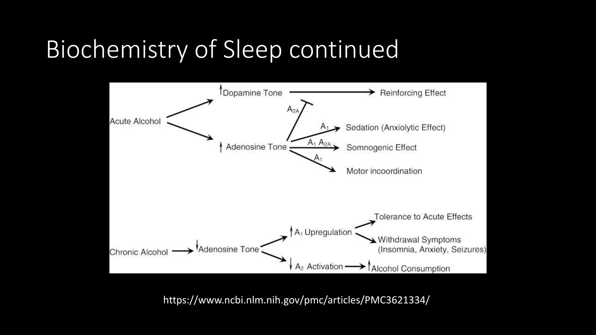 The Science of Sleep | PPTX