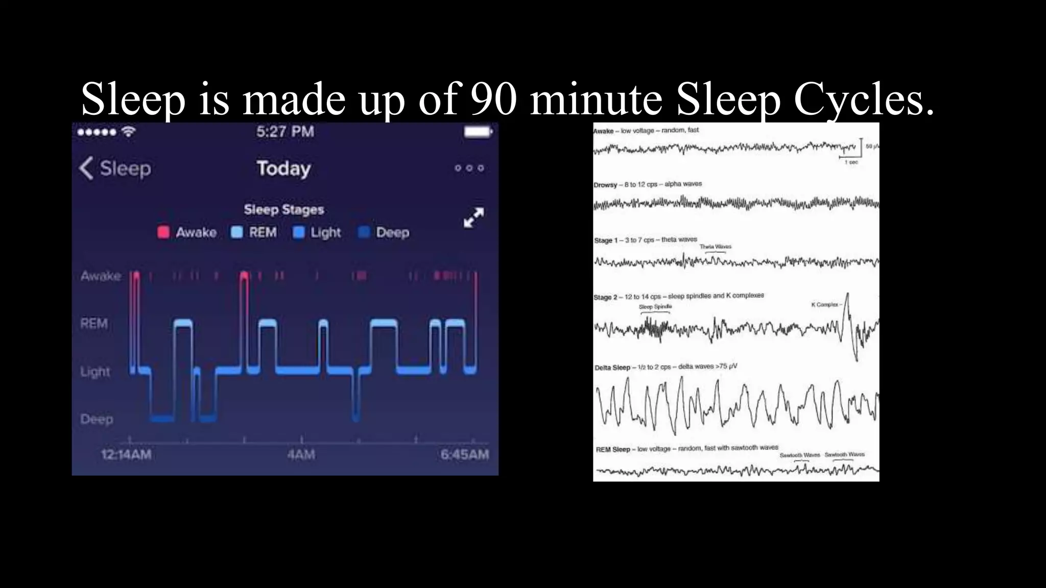 The Science of Sleep | PPTX