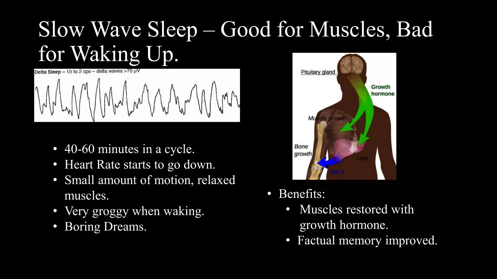 The Science of Sleep | PPTX