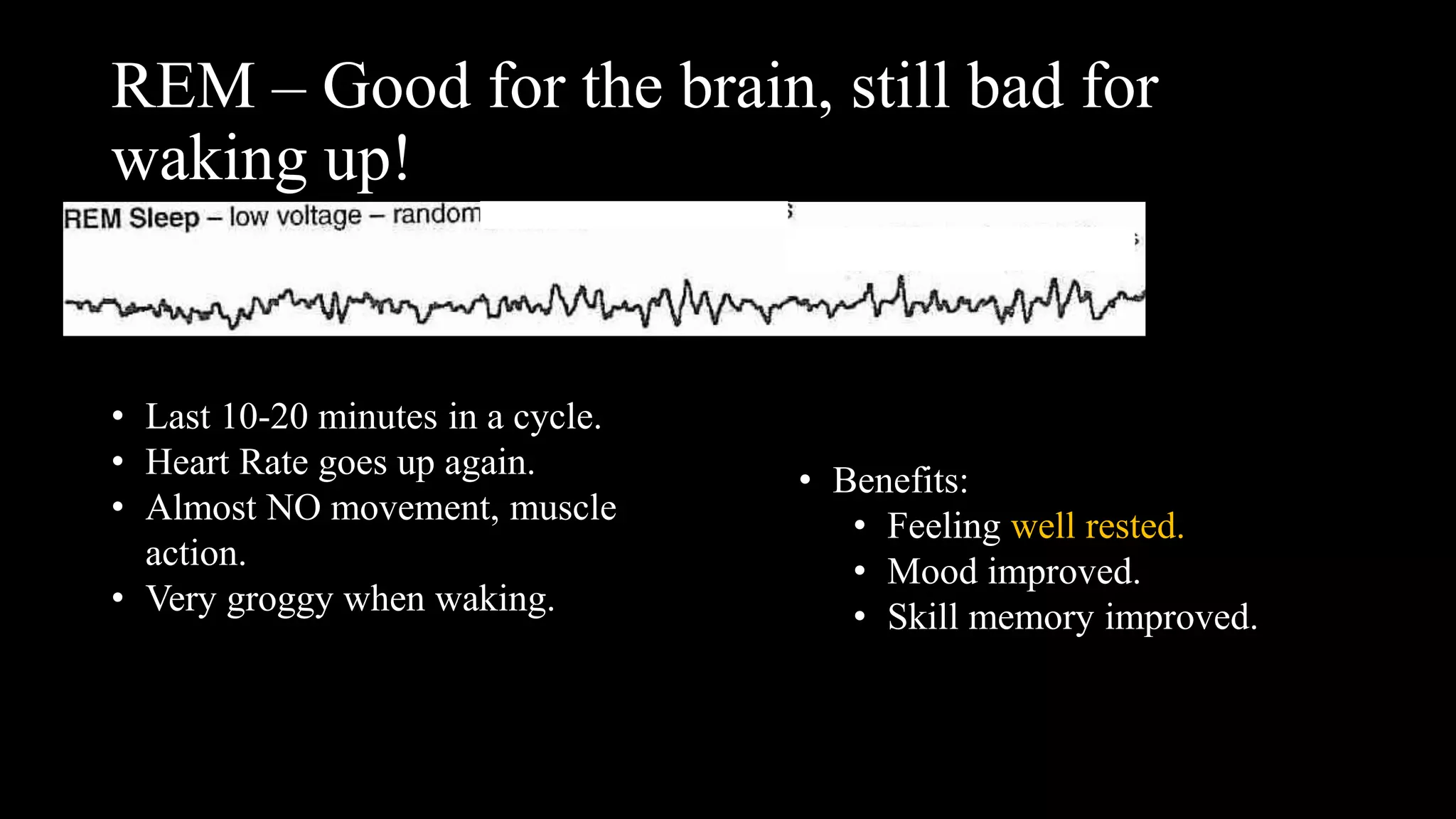 The Science of Sleep | PPTX