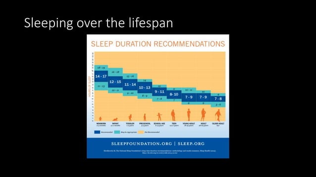 The Science of Sleep | PPTX
